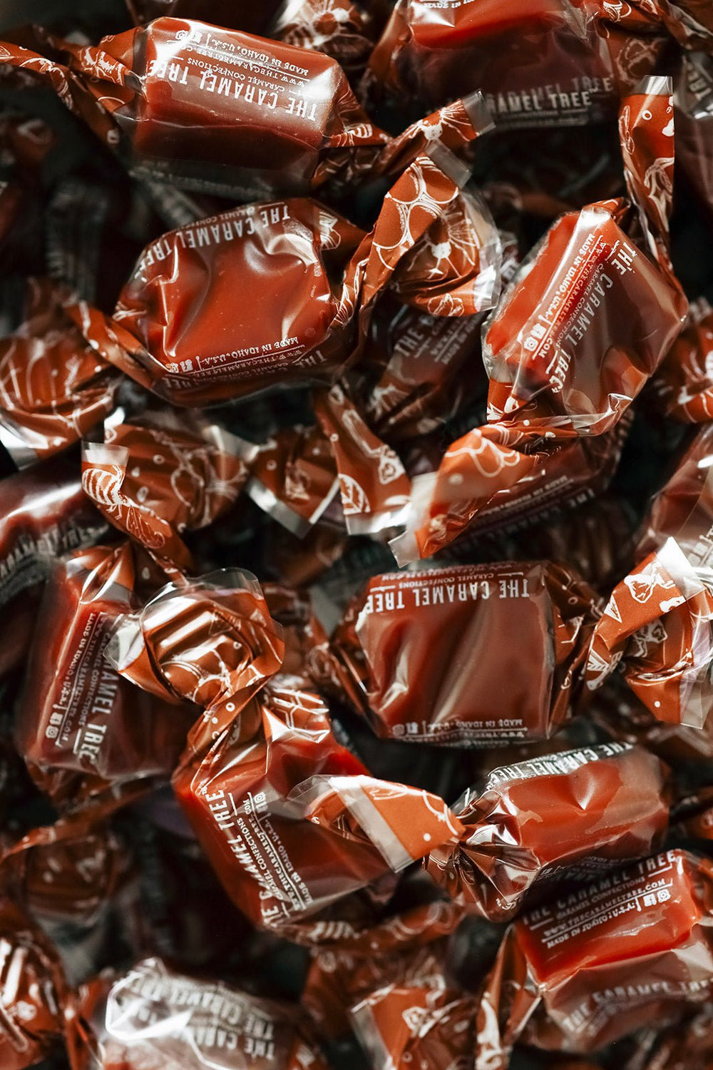 Chocolate Caramel | Rich & Velvety Indulgence